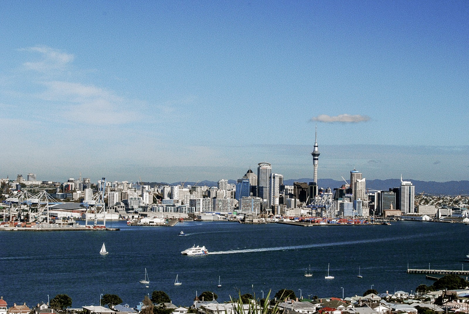 Auckland Helicopter Rides & Scenic Flights | INFLITE Charters